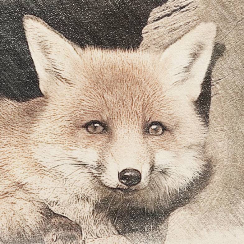 Иконка канала Сказки Старого Лиса