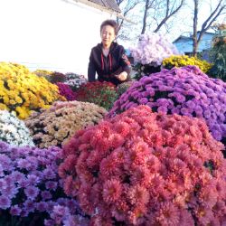 Иконка канала Ольга Оненко