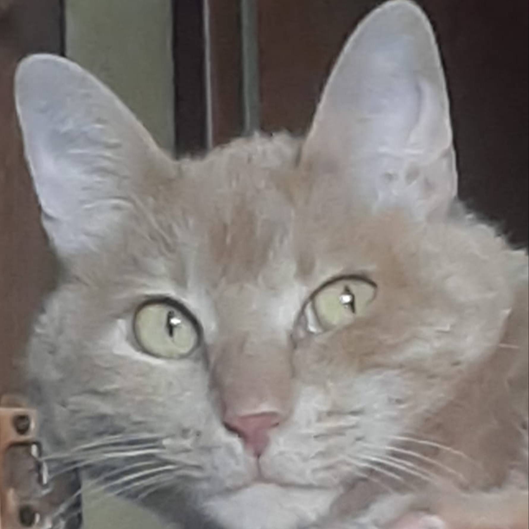 Иконка канала Илья Grif