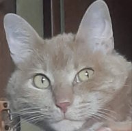 Иконка канала Илья Grif