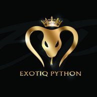 Иконка канала Exotiq Python