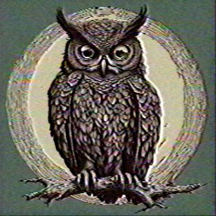 Иконка канала Мрачная Сова