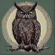 Иконка канала Мрачная Сова