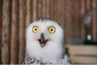 Иконка канала Rio