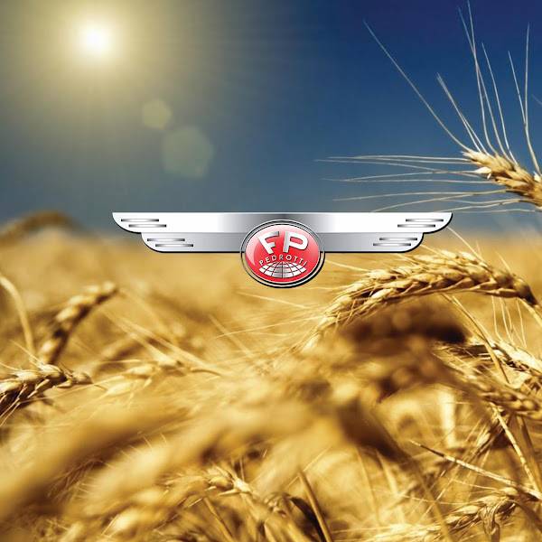 Иконка канала Fratelli Pedrotti