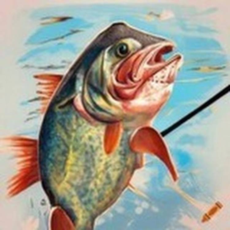 Иконка канала Рыбалка в большом городе