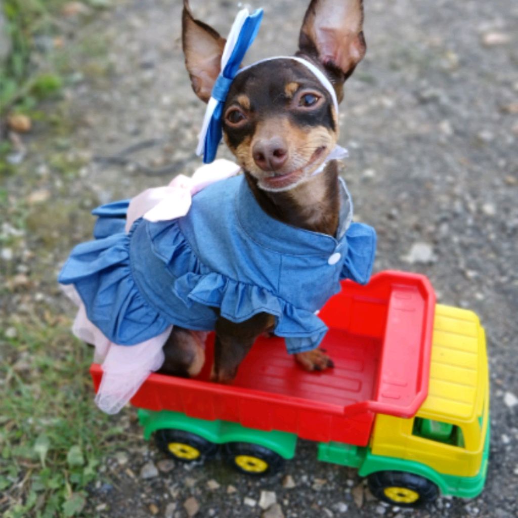 Иконка канала Тот самый Мартин из тик тока