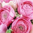 Иконка канала ОТКРЫТКИ