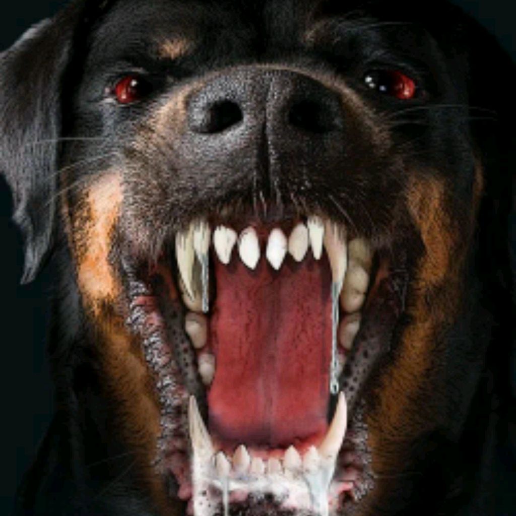 Иконка канала Руслан КБ