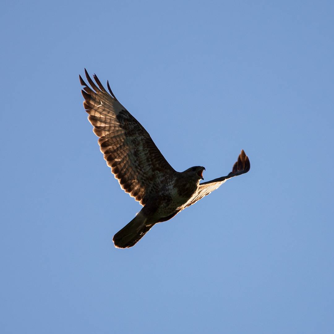 Иконка канала Alex Bas