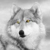 Иконка канала ФАРТОВЫЙ - TLT