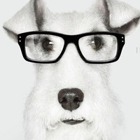 Иконка канала Avelius