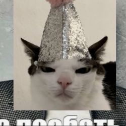 Иконка канала Amoral78 War Thunder