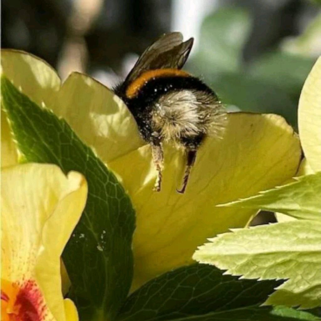 Иконка канала andromeda8488