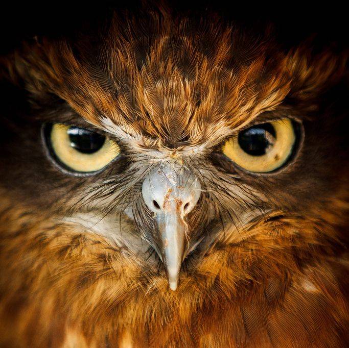 Иконка канала Серьёзный взгляд