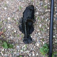 Иконка канала Рыбалка и природа Смоленского края