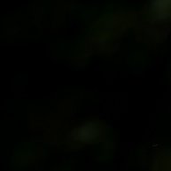 Иконка канала Mister Btoux1979