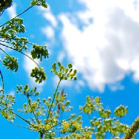 Иконка канала Василий Мир