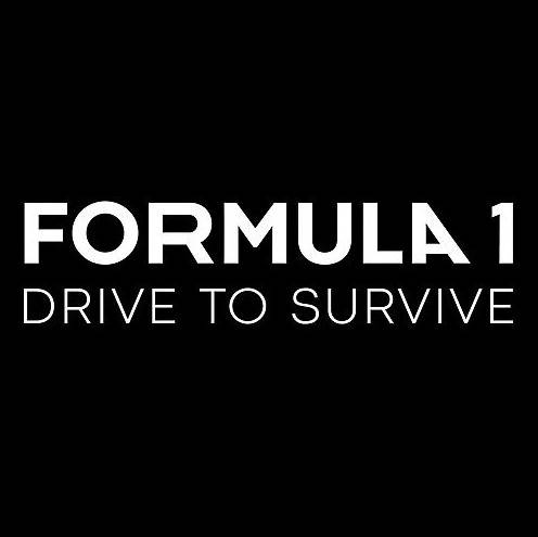 Иконка канала Сериал Drive to survive / Драйв выживания