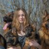 Иконка канала питомник немецких овчарок Alex Hoff