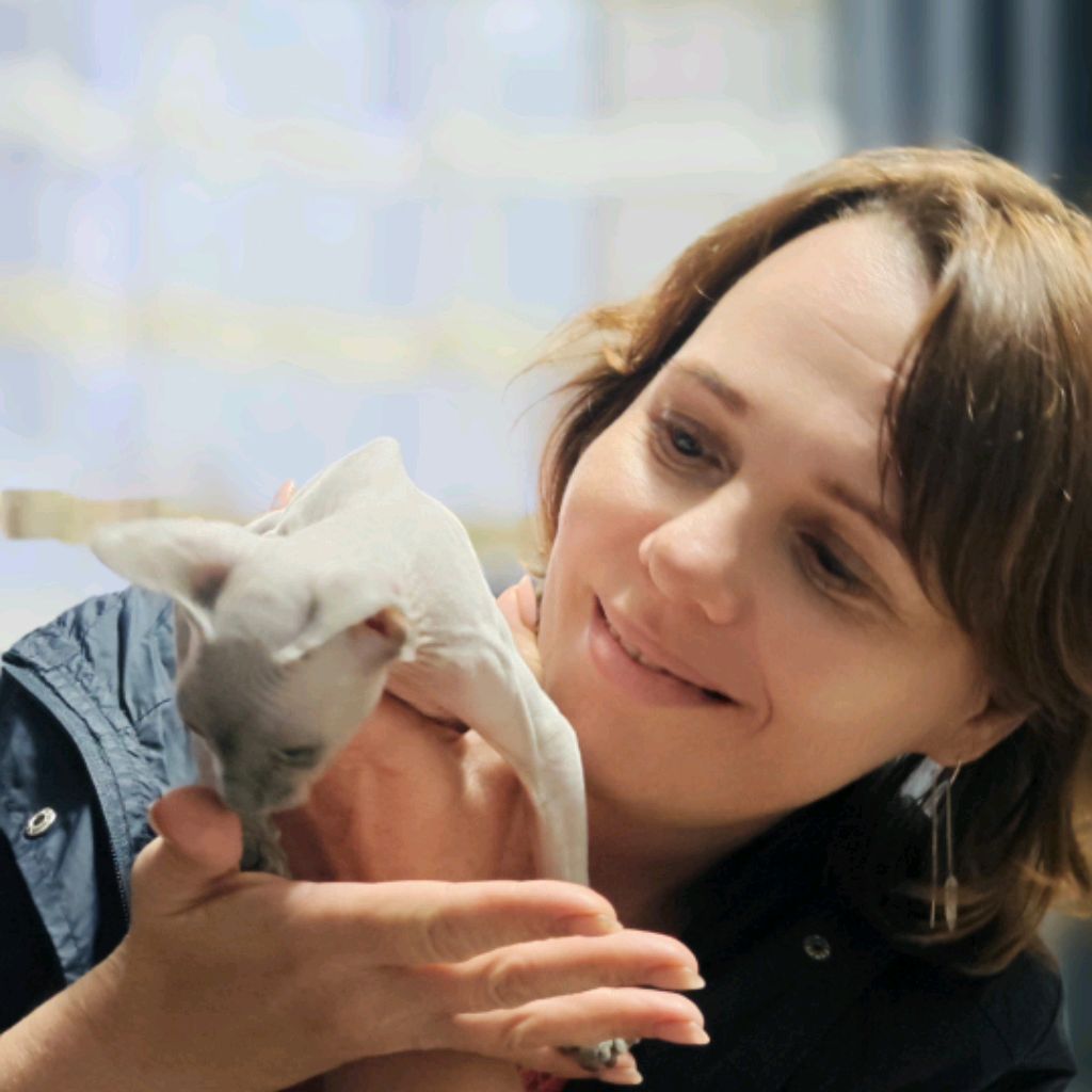 Иконка канала Гера