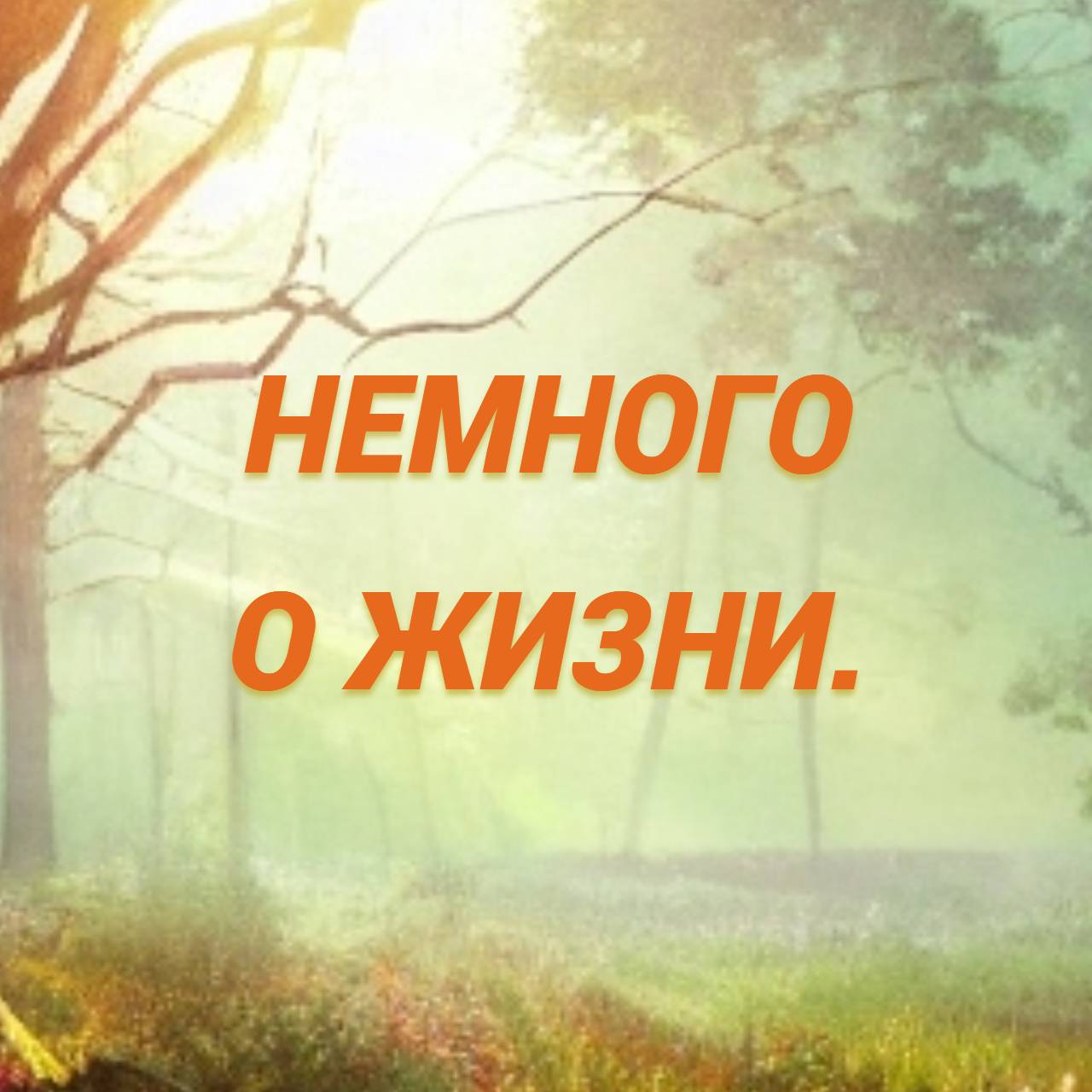 Иконка канала Немного о жизни