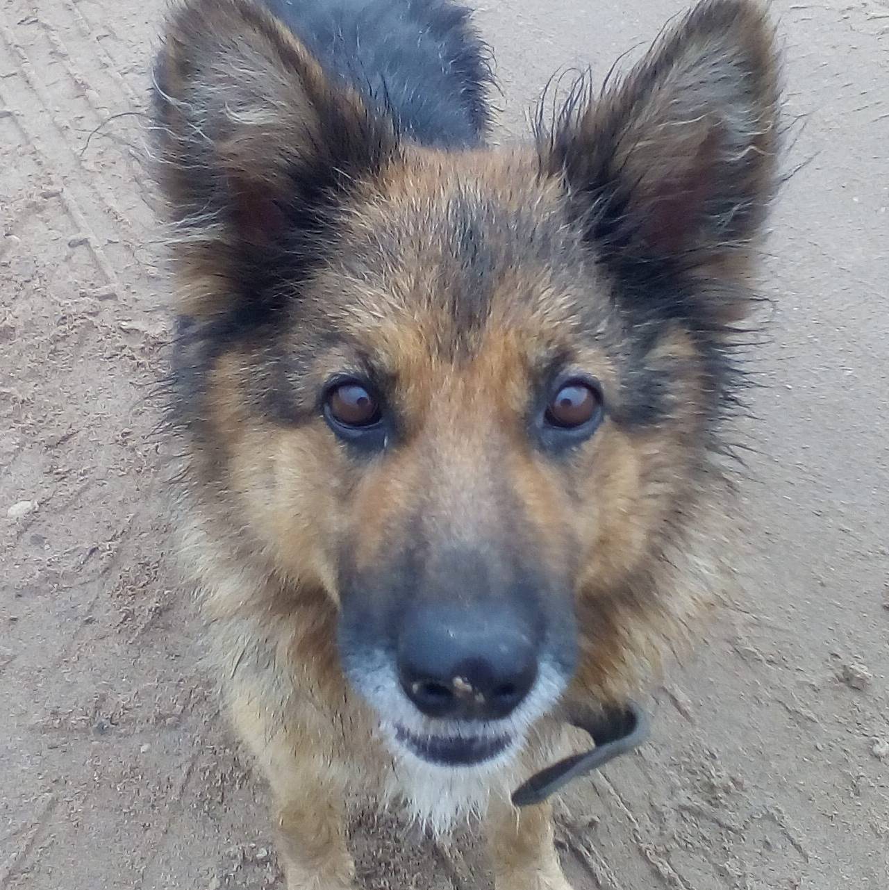 Иконка канала САШУТКА