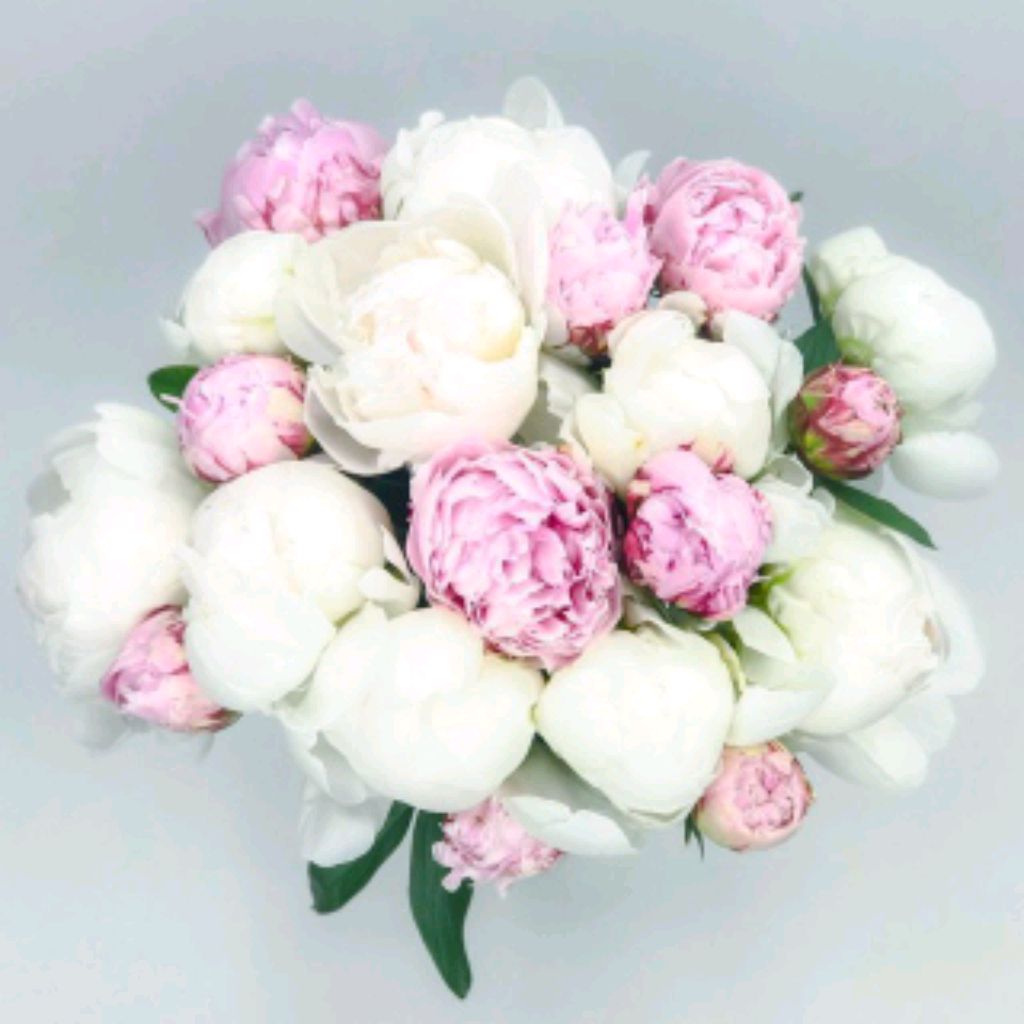 Иконка канала Новая Земля