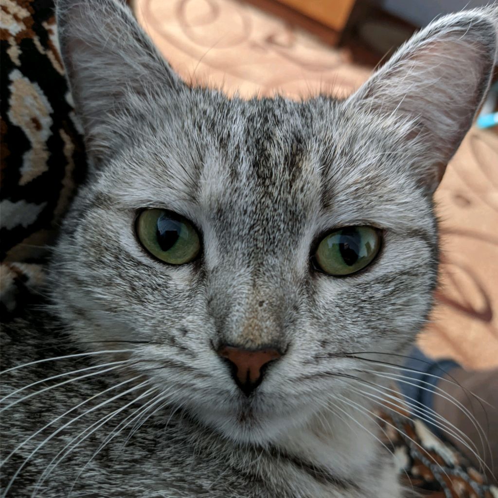 Иконка канала MTV7802