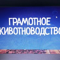Иконка канала Грамотное животноводство