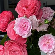 Иконка канала ЭЛИНA❤️