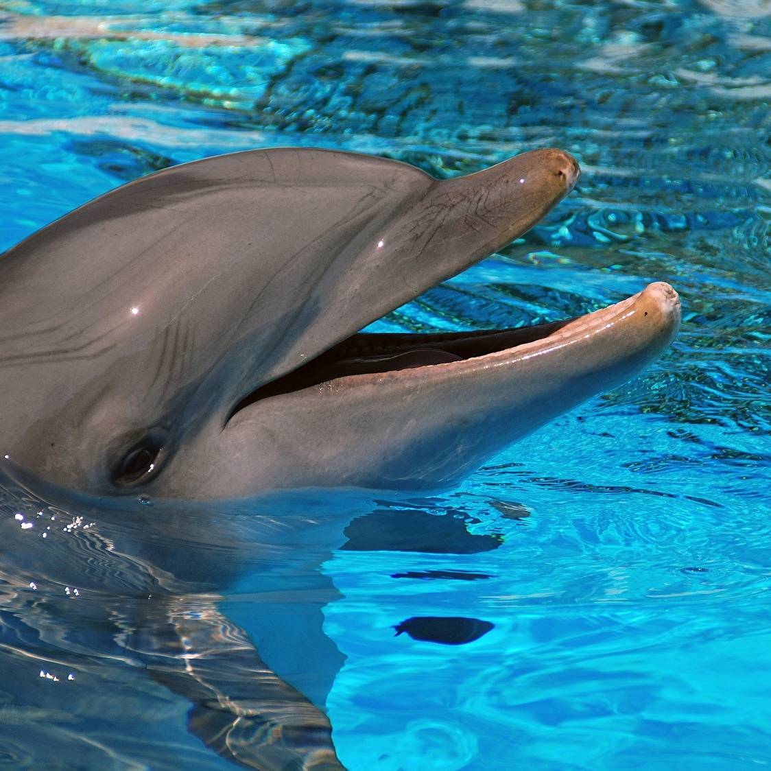 Иконка канала rutube_account_23498267