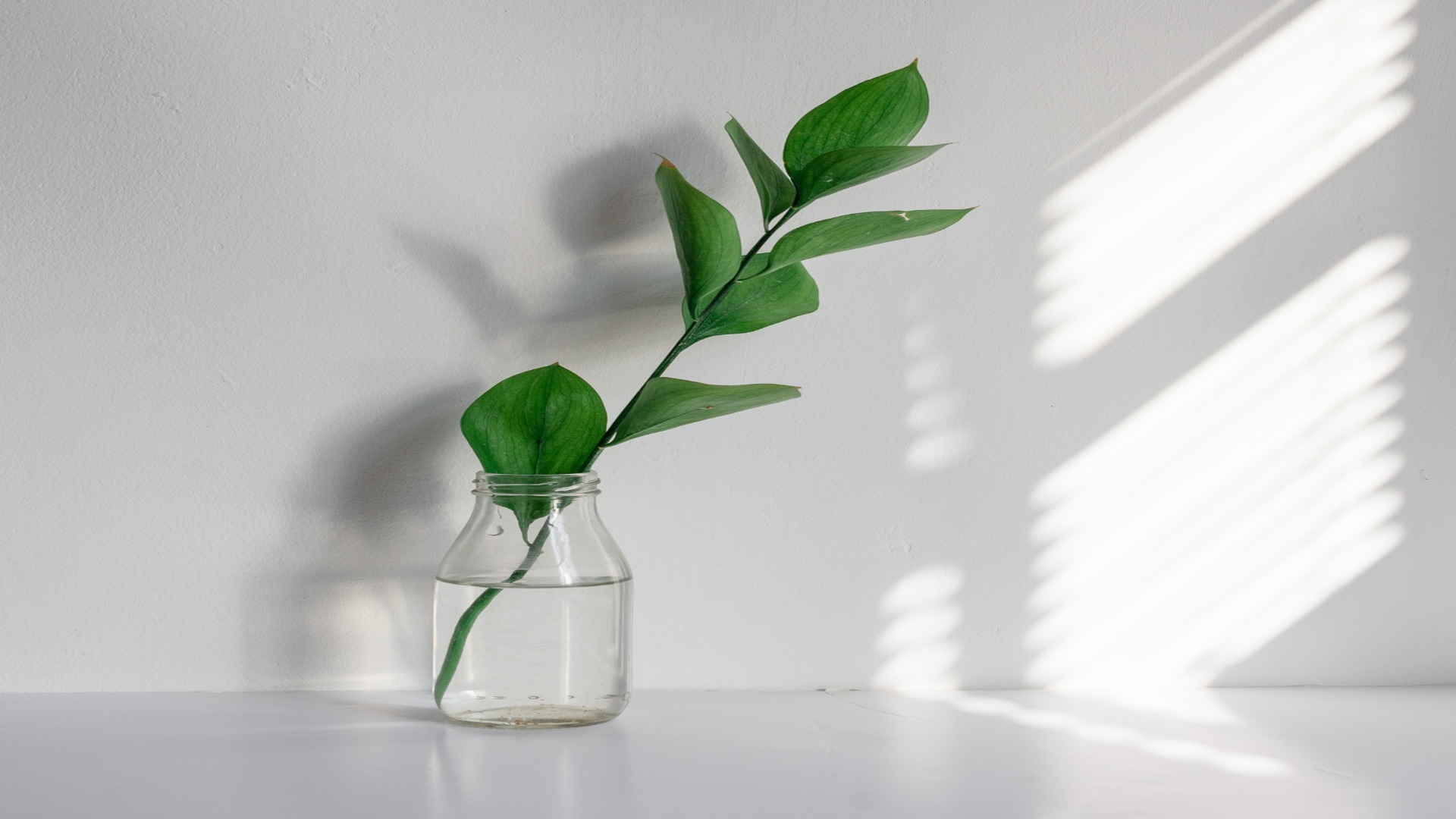 Иконка канала РМЦ ЕКАТЕРИНА