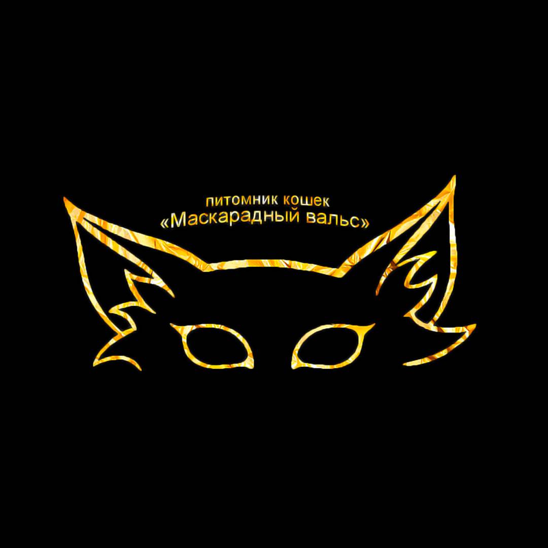 Иконка канала Маскарадный Вальс