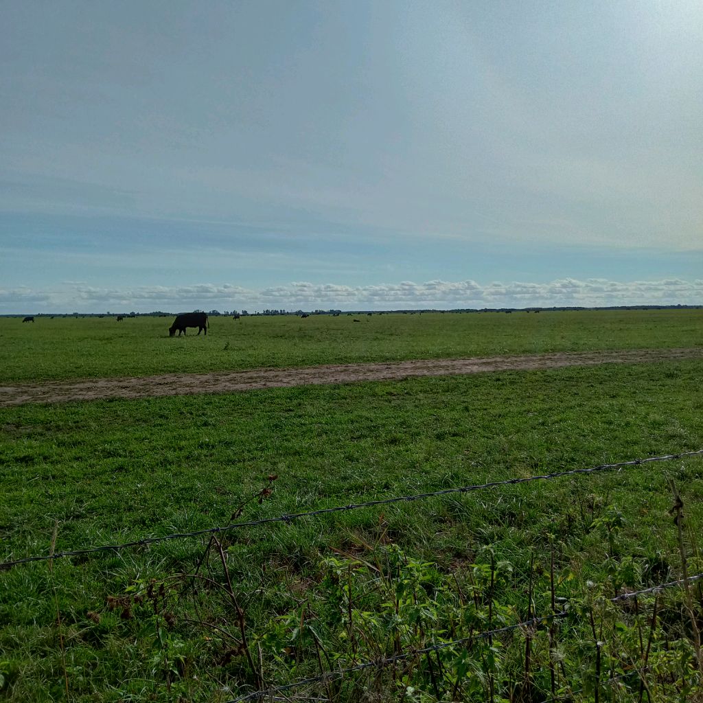 Иконка канала Копаем всё