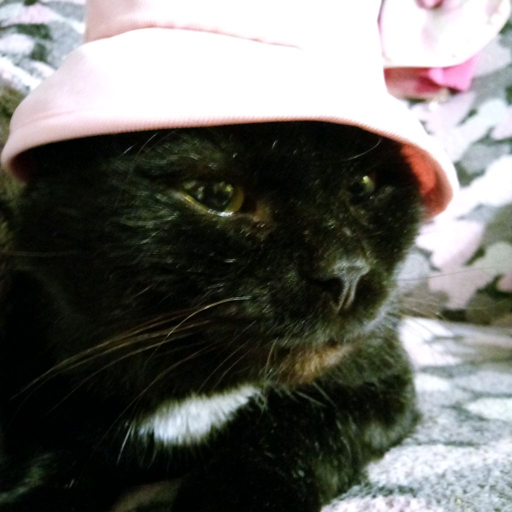 Иконка канала Дядя деда