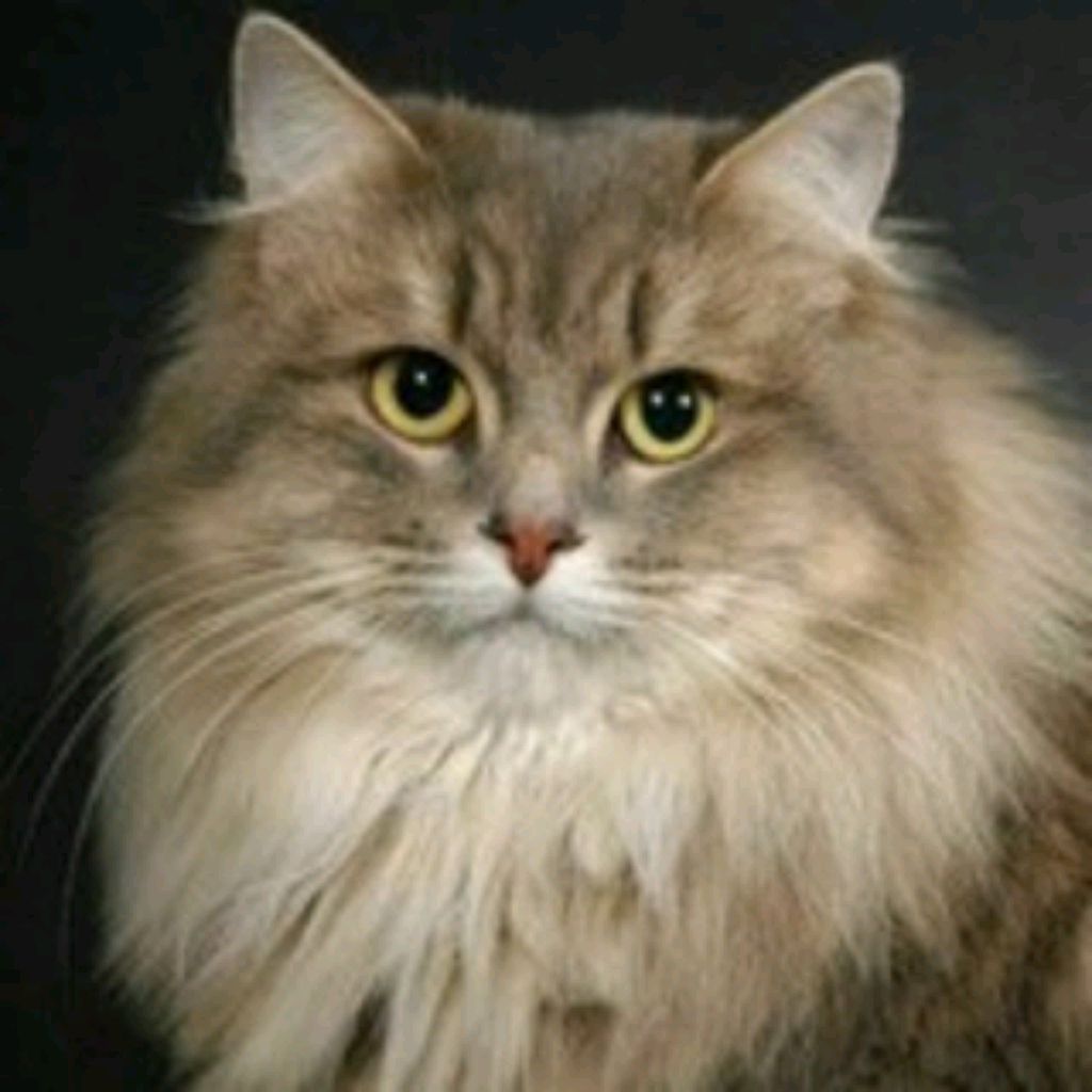 Иконка канала Василий