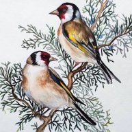 Иконка канала Охотники за голосами