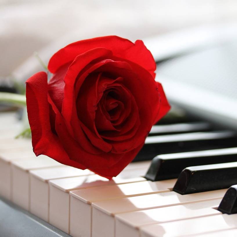 Иконка канала Канал Зинаиды Захаровой