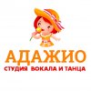 Иконка канала Студия вокала и танцев Адажио