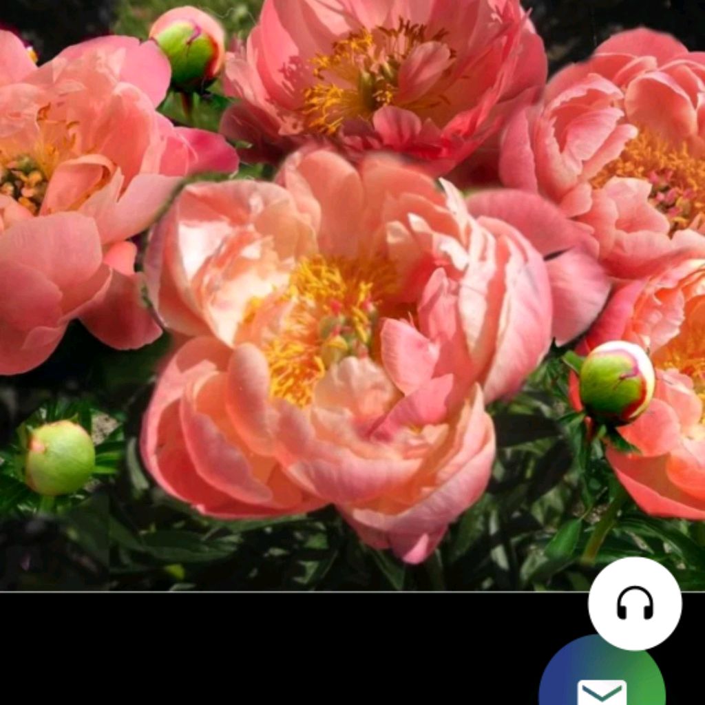 Иконка канала Volga