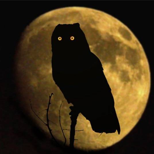 Иконка канала Лунное сияние.