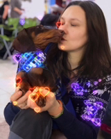 Иконка канала Teckelsmagic kennel