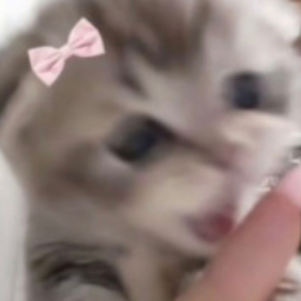 Иконка канала Пельмень