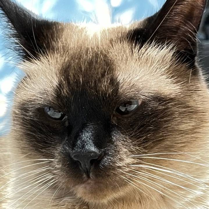 Иконка канала kaktotak35