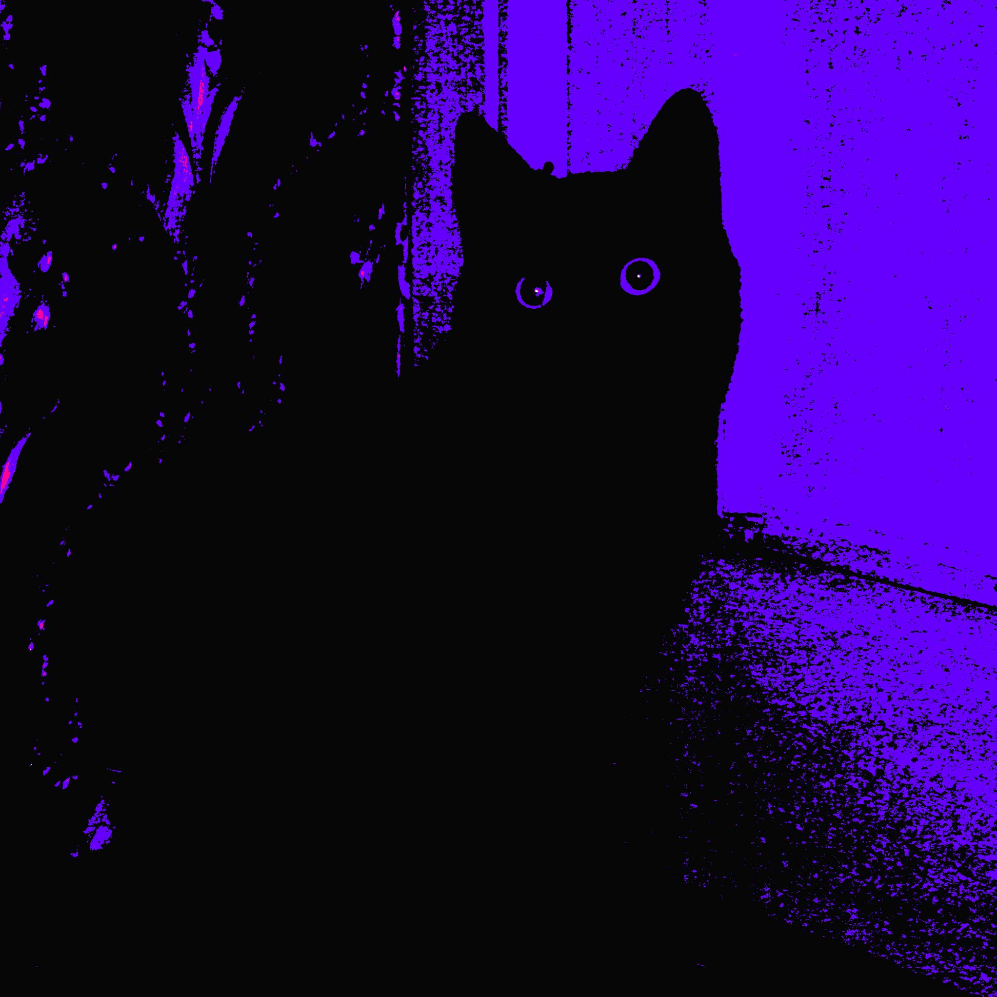 Иконка канала Hell Miracle