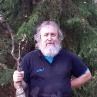 Иконка канала Логика Обыденная