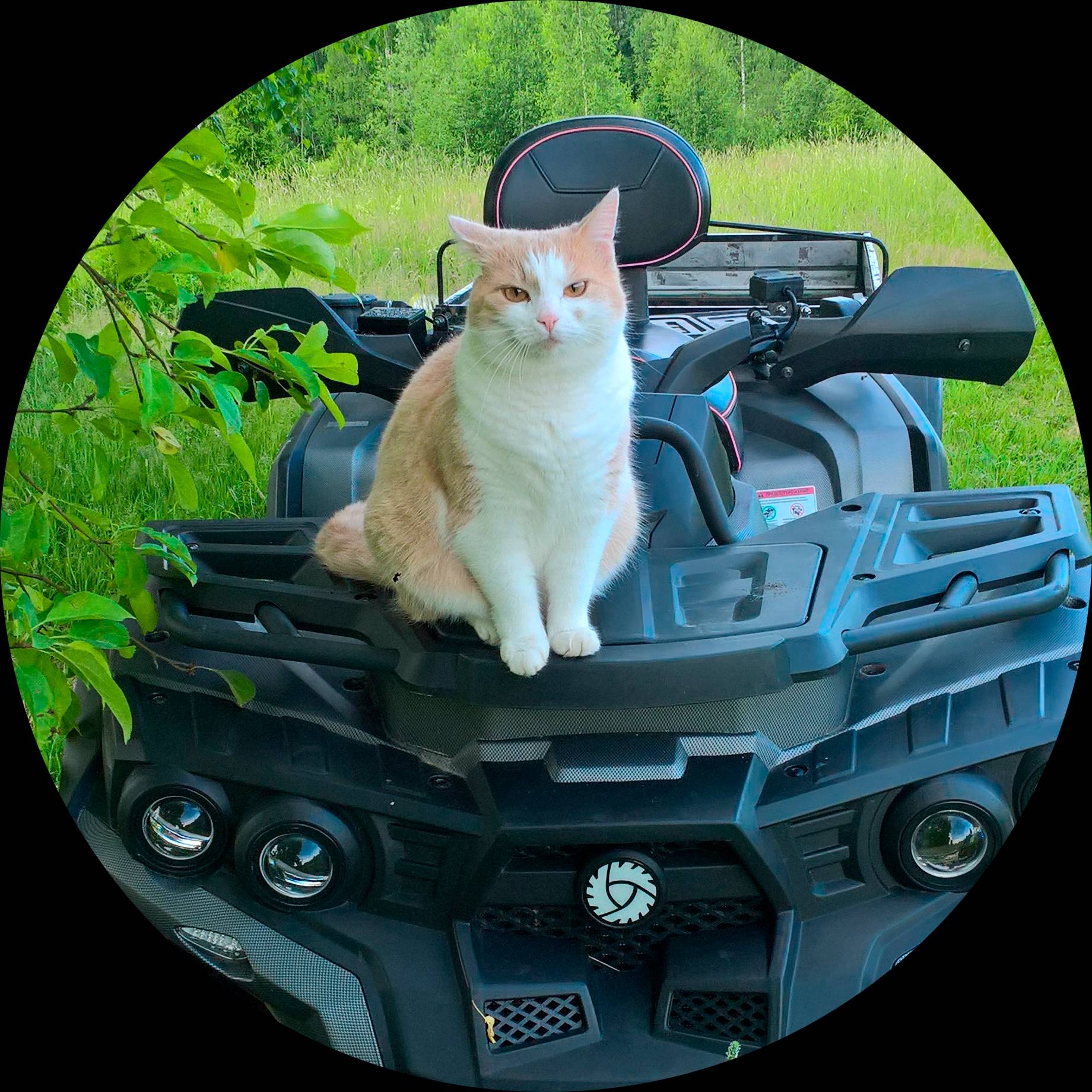 Иконка канала Тихий омут