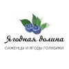 Иконка канала Лаборатория и питомник саженцев «Ягодная долина»