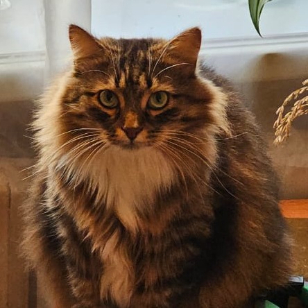 Иконка канала Артём Roblox